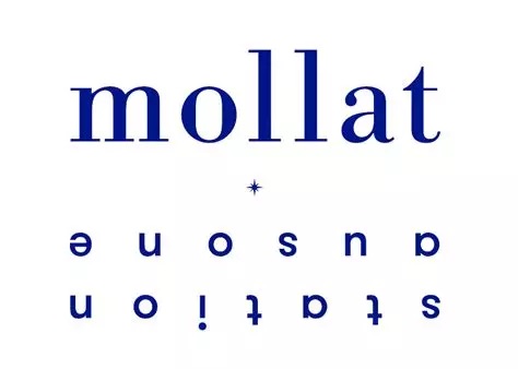 Florence Bergeaud-Blackler : présentation du "Frérisme et ses réseaux ...